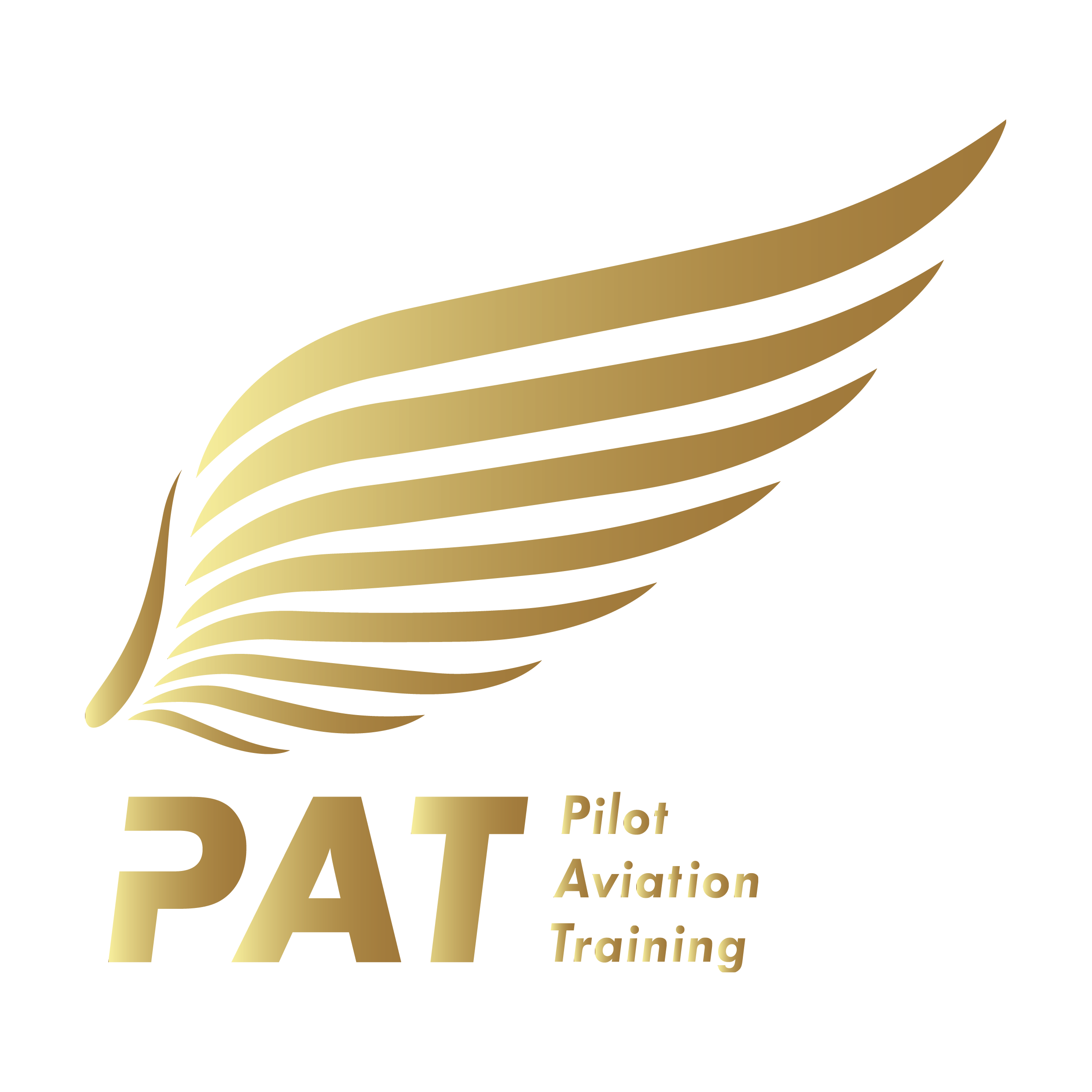 PAT - Pilot Aviation Training - Mehr als nur Flugtraining - Home